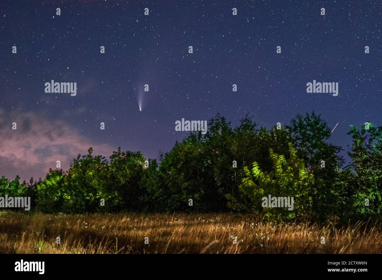 Comet Neowise in the night sky with stars over trees and a field Stock ...