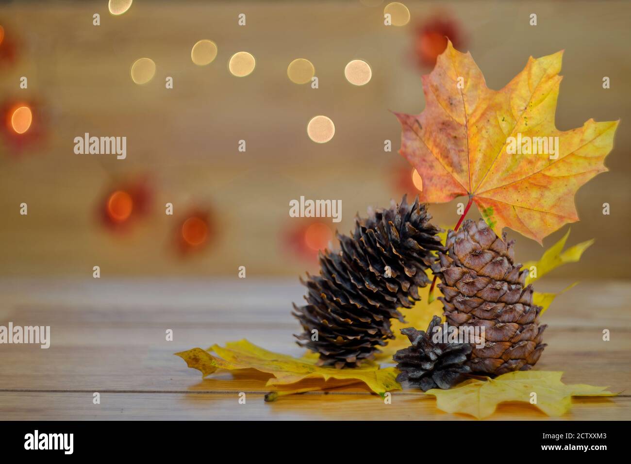 Still life with cones hi-res stock photography and images - Alamy