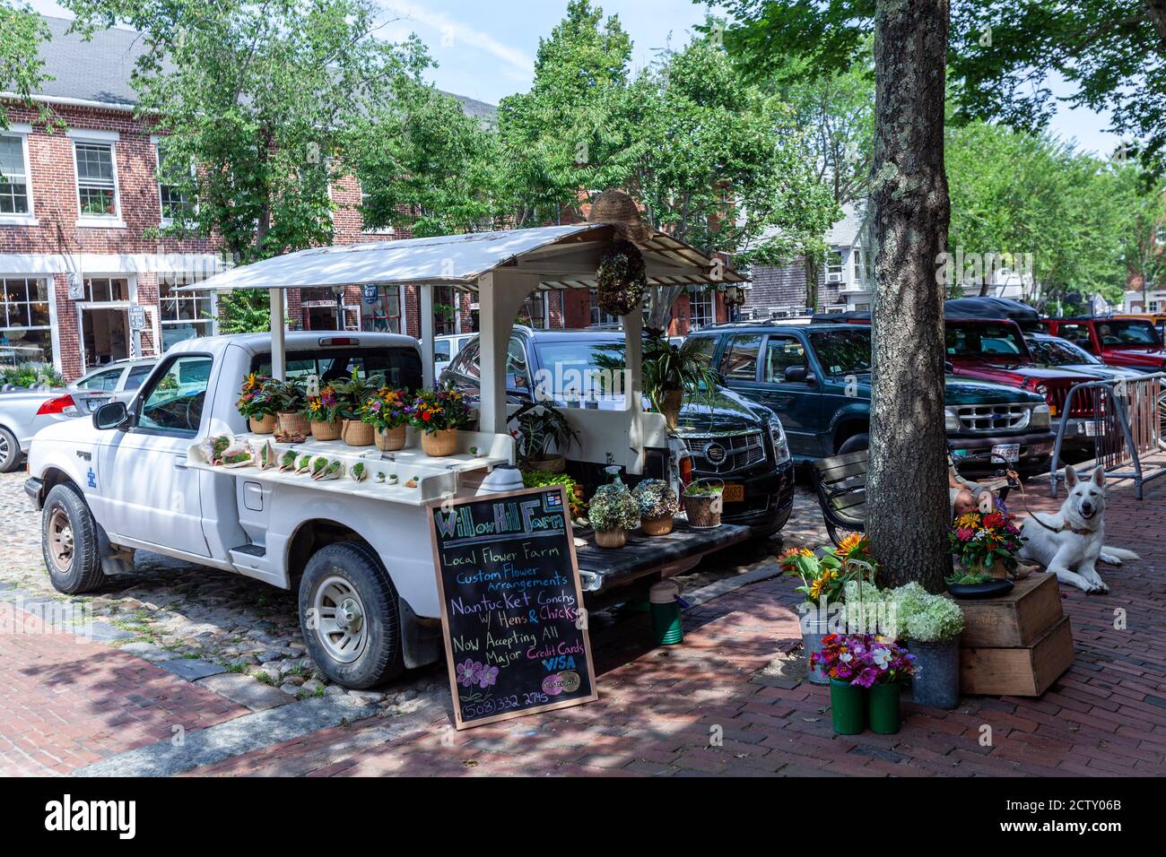 Street flower vendor in the cobblestone Main Street in historic ...