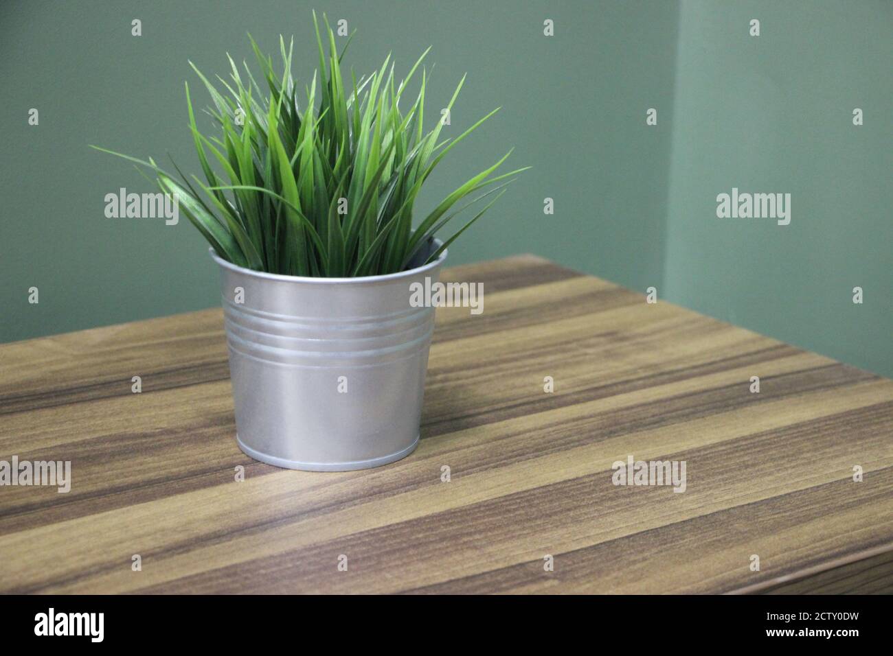 Grass plant in pot on desk hi-res stock photography and images - Alamy