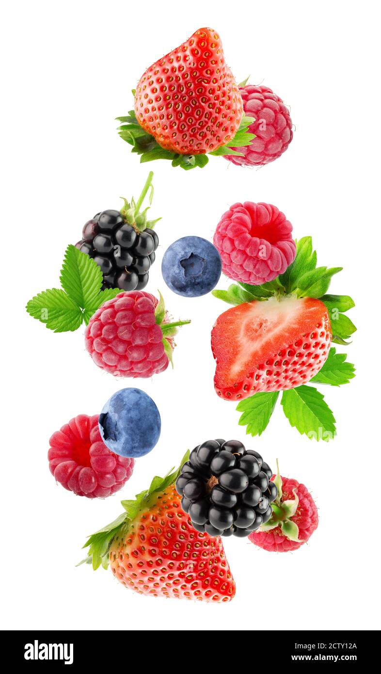 falling berries isolated on a white background Stock Photo - Alamy
