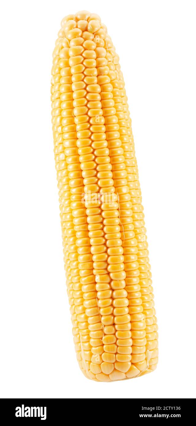 ear corns isolated on a white background Stock Photo - Alamy