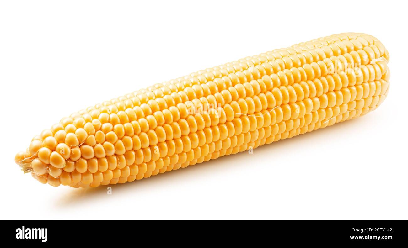 ear corns isolated on a white background Stock Photo - Alamy