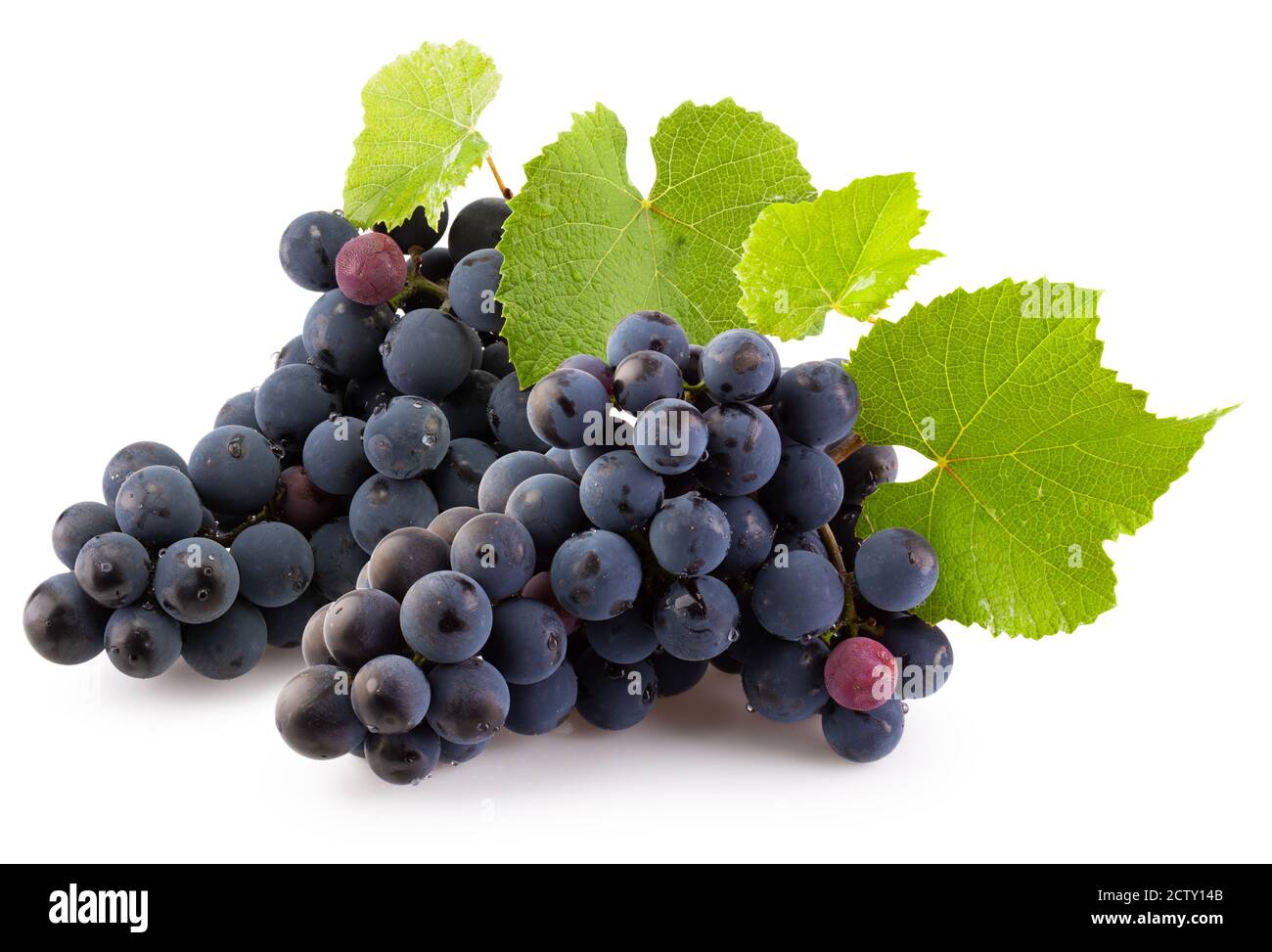 Dark purple vine leaves Cut Out Stock Images & Pictures - Alamy