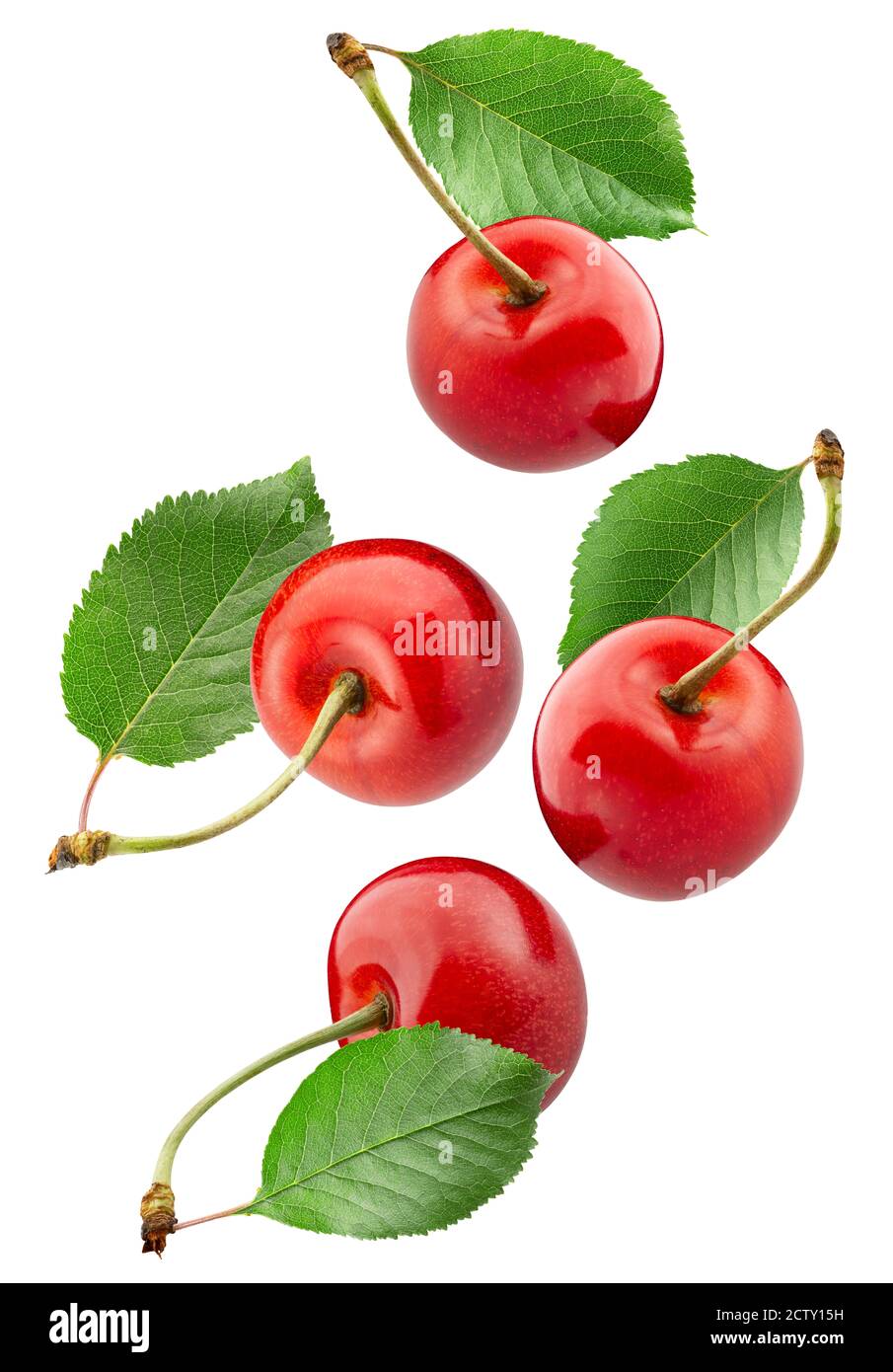 falling sweet cherries with leaves isolated on a white background Stock ...