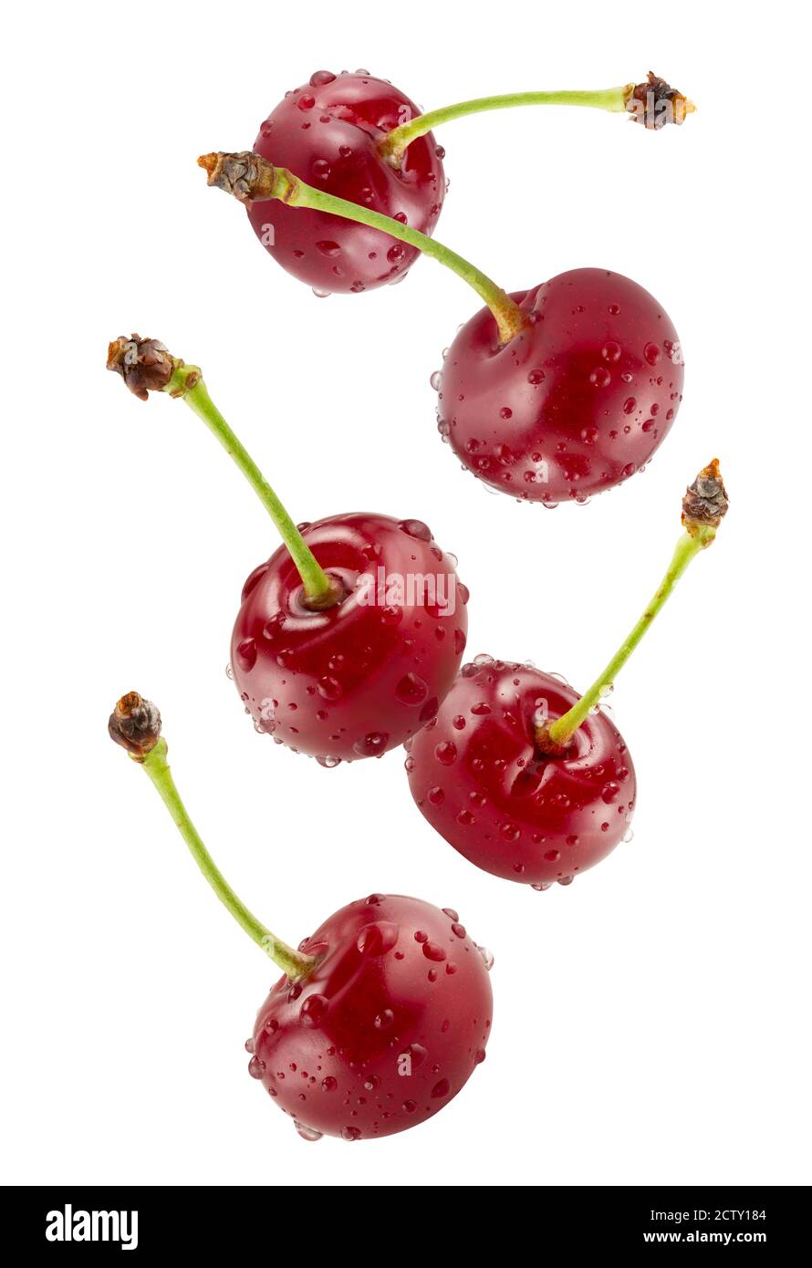 falling sweet cherries isolated on a white background Stock Photo - Alamy