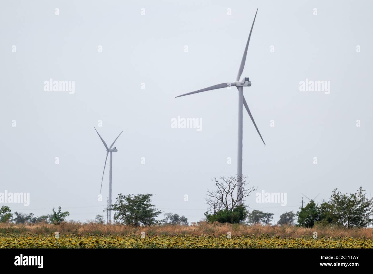 Wind electro generators standing in field. Green eco energy of future ...