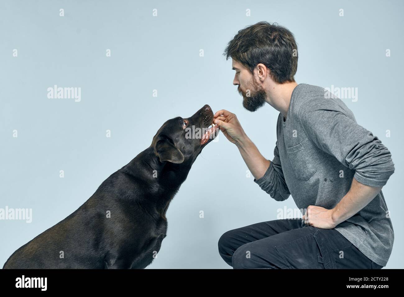 The man trains the dog indoors and gestures with his hands to execute ...