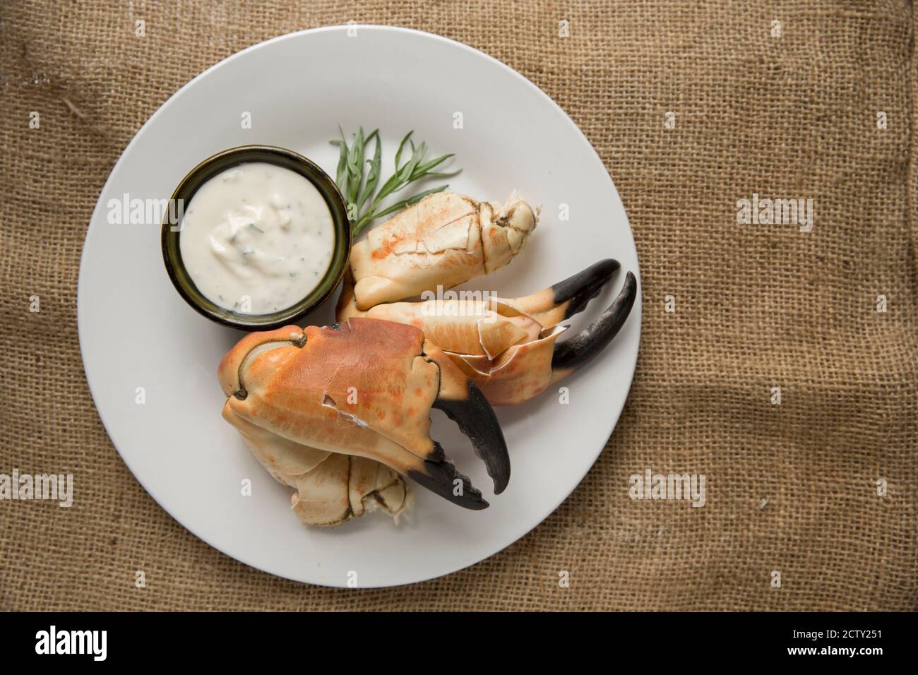 Two boiled, cracked crab claws from a brown crab, Cancer pagurus, that ...