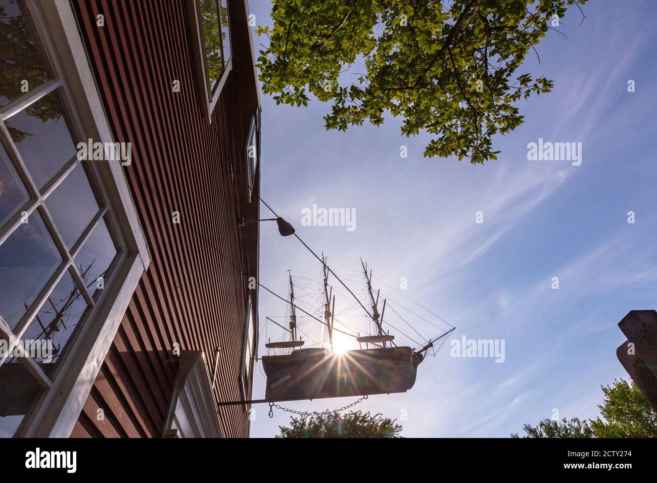 Blue beetle hi-res stock photography and images - Alamy