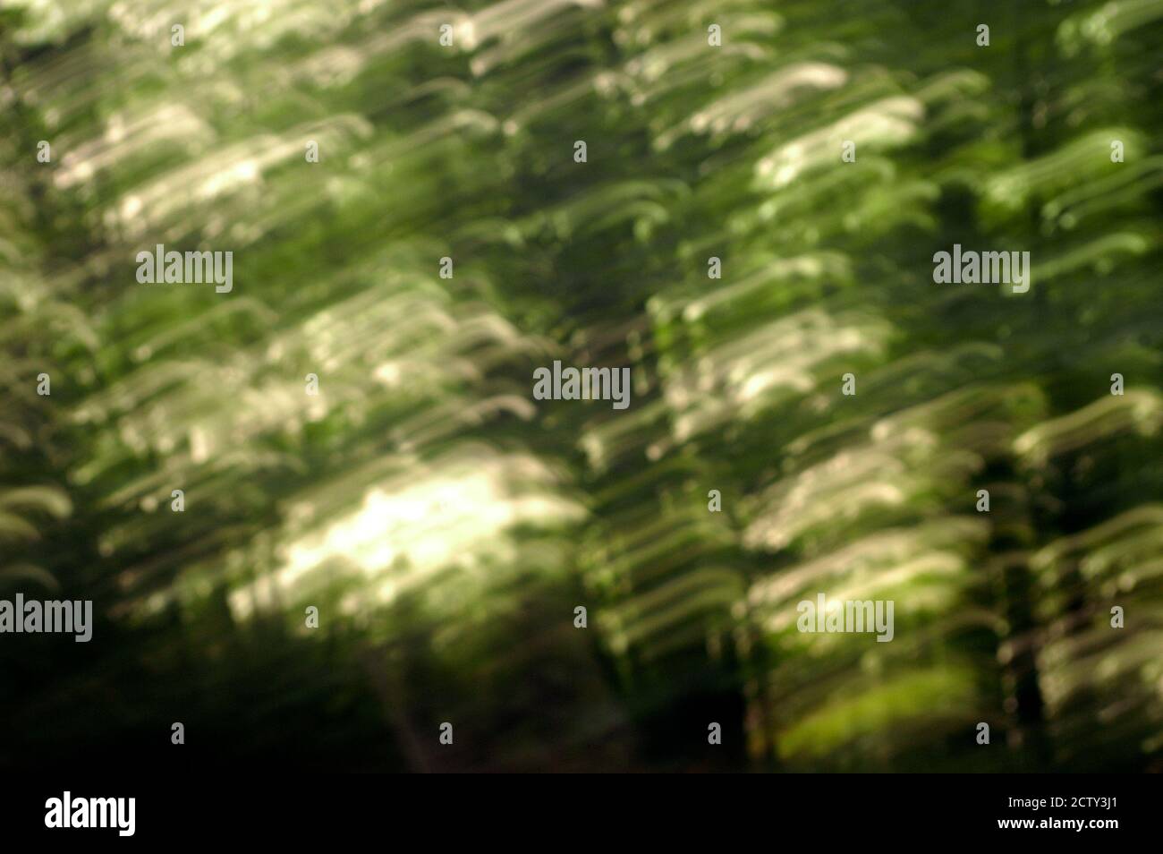the color green, associated with nature, life, health and hope Stock ...