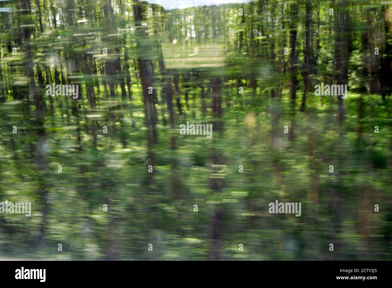 the color green, associated with nature, life, health and hope Stock ...