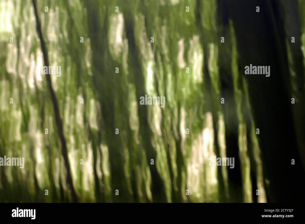 the color green, associated with nature, life, health and hope Stock ...
