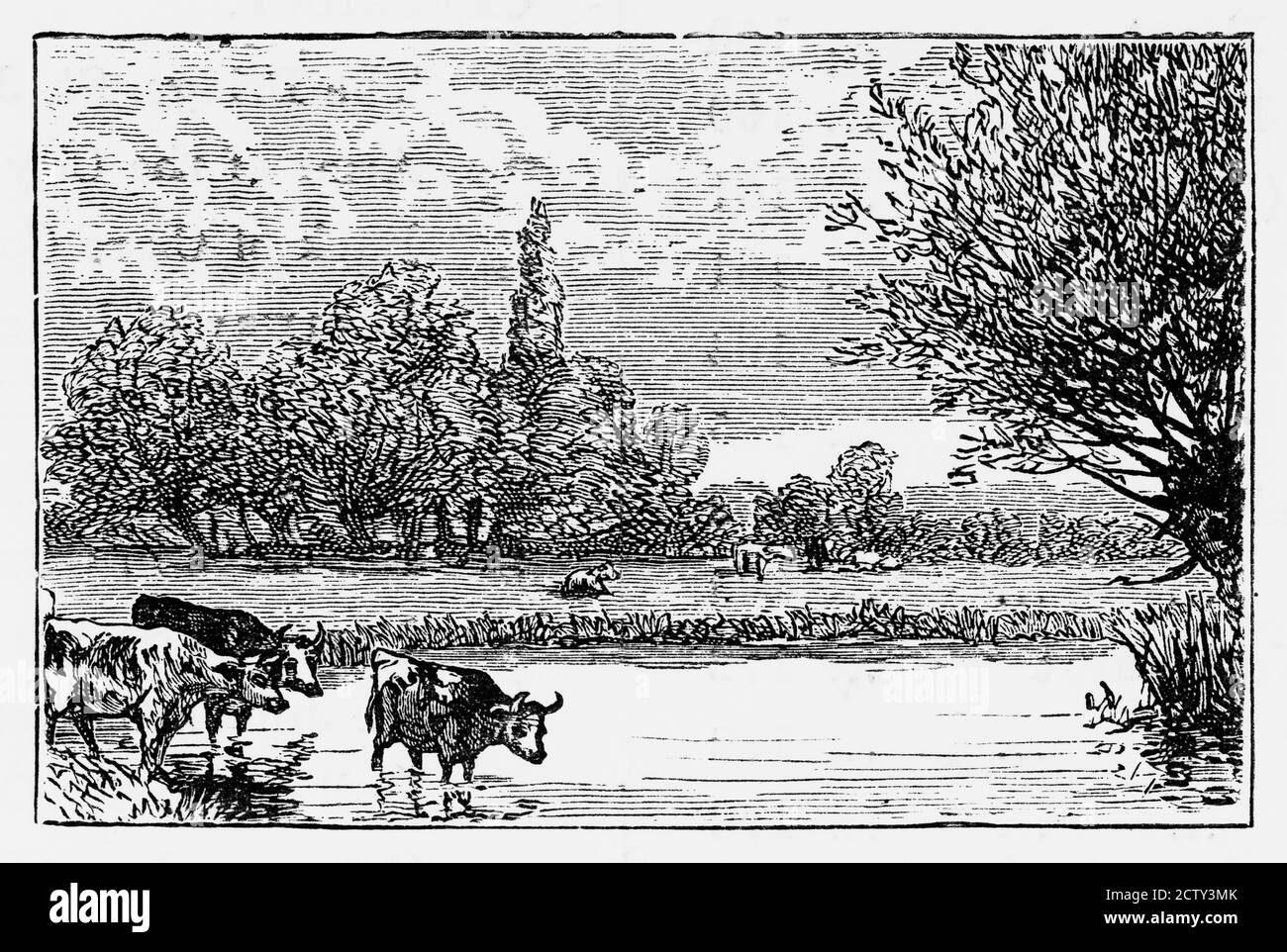 Landscape in Chester, England Victorian Engraving, 1840 Stock Photo - Alamy
