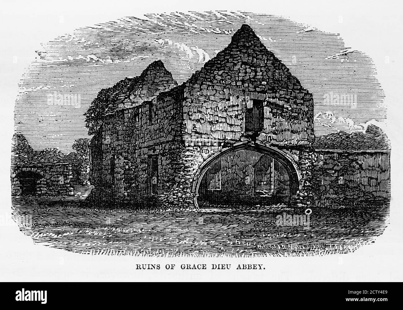 Very Rare, Beautifully Illustrated Antique Engraving of Victorian ...