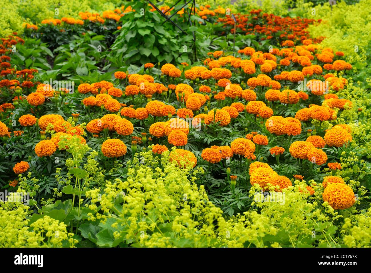 Montreal botanical garden hi-res stock photography and images - Alamy