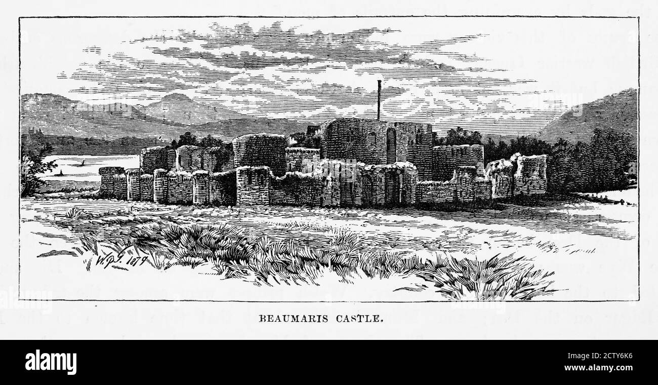 Very Rare, Beautifully Illustrated Antique Engraving of Victorian ...