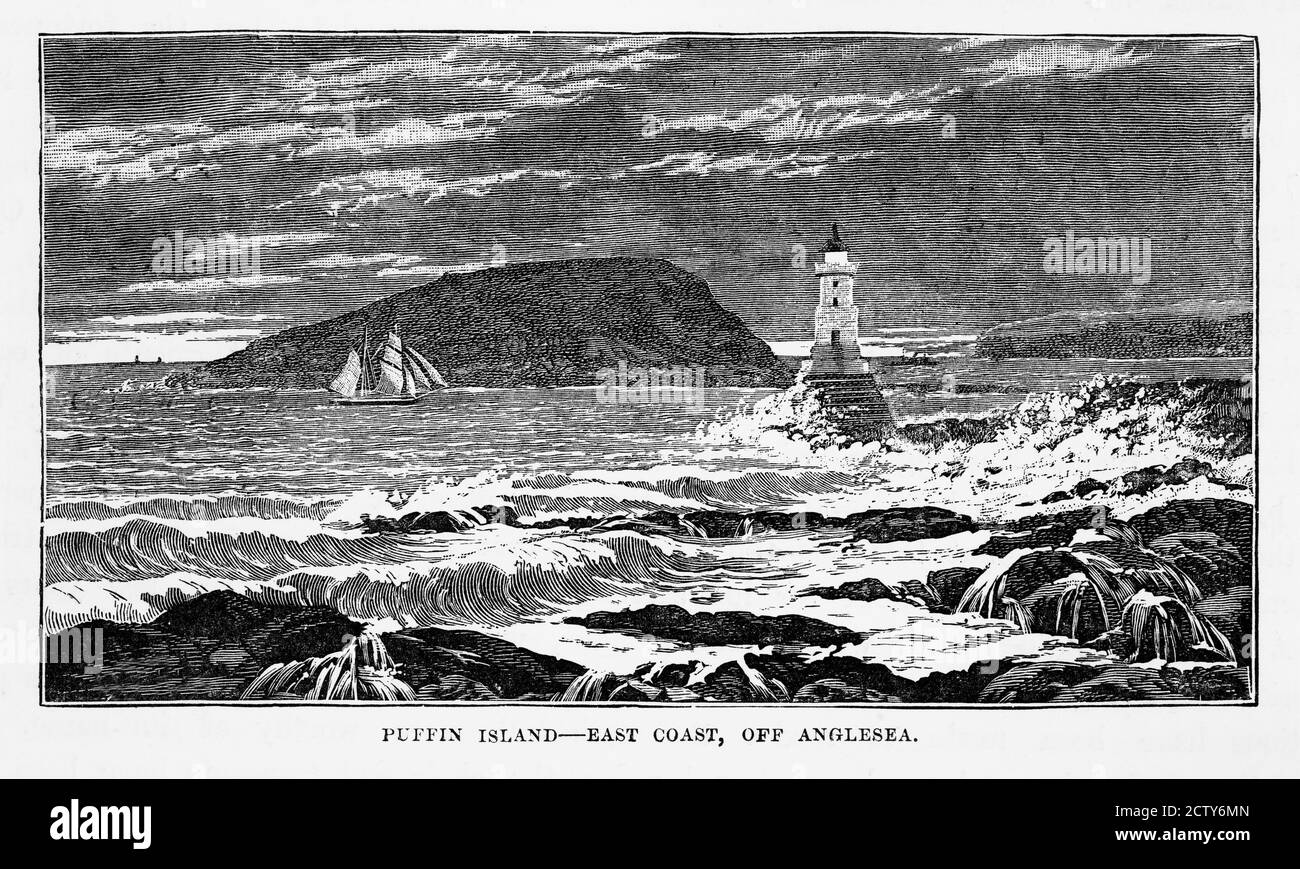 Very Rare, Beautifully Illustrated Antique Engraving of Victorian ...