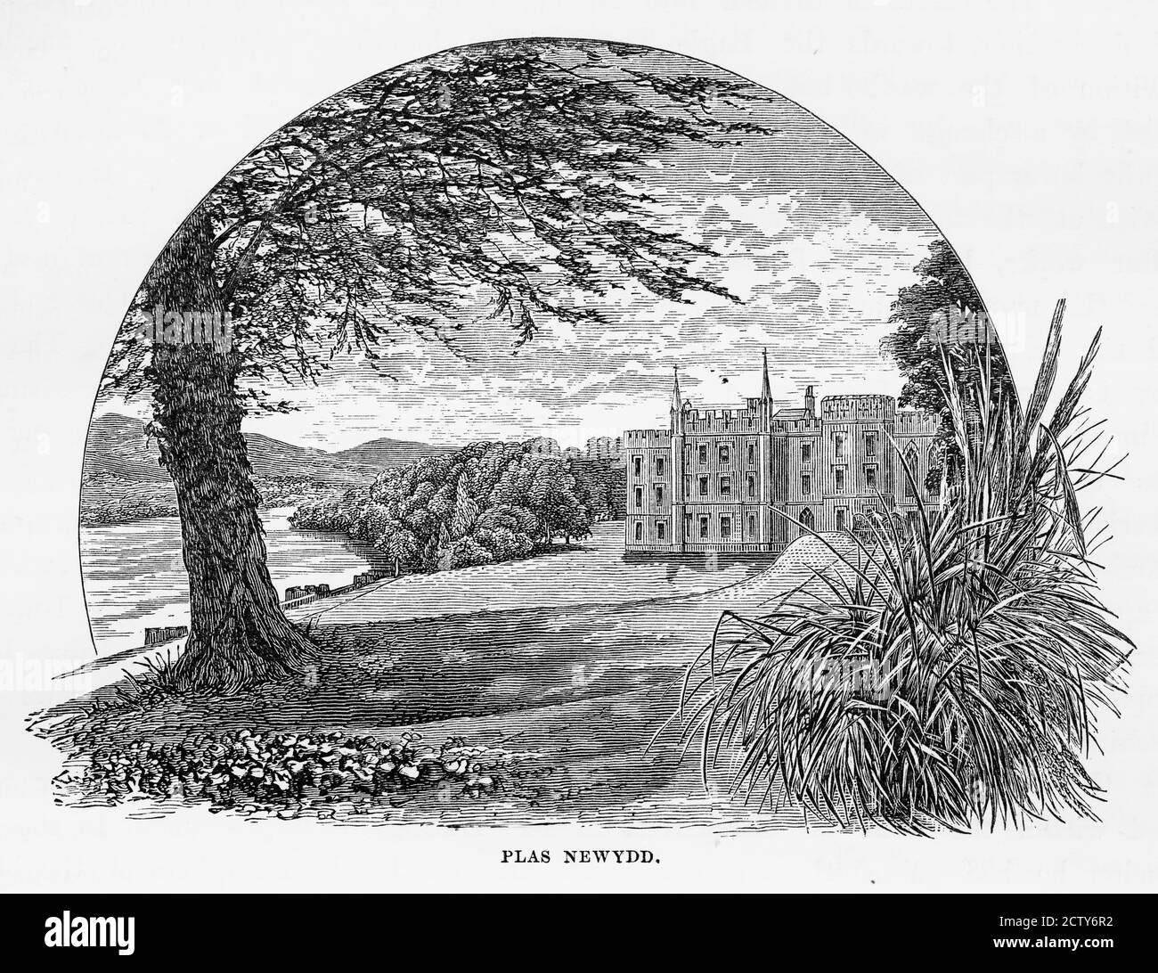 Very Rare, Beautifully Illustrated Antique Engraving of Victorian ...