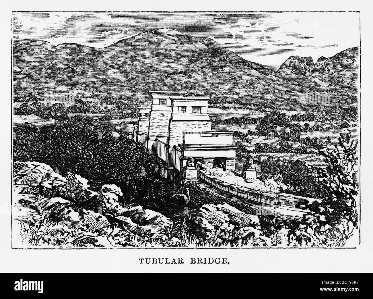 Very Rare, Beautifully Illustrated Antique Engraving of Victorian ...
