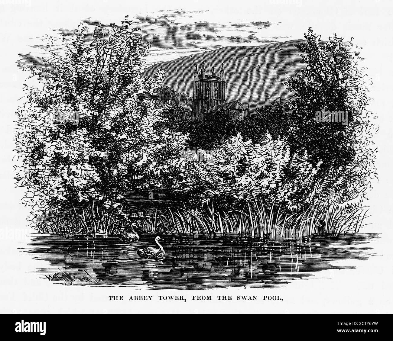 Very Rare, Beautifully Illustrated Antique Engraving of Victorian ...