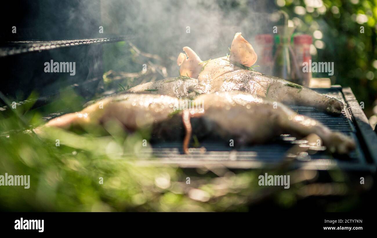 Crispy roasted piglet which are being grilled on barbecue. Close up of ...