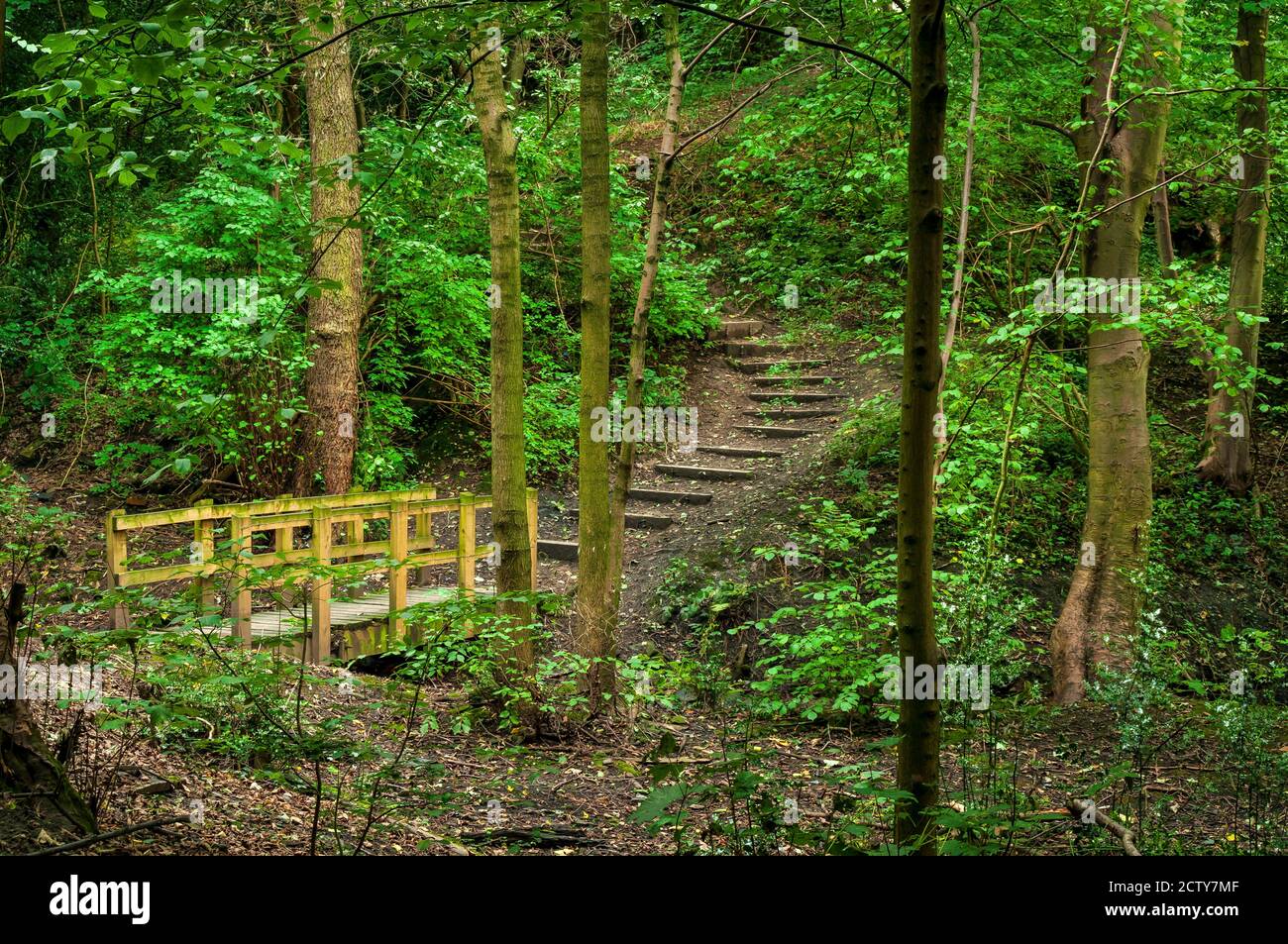 A small wooden bridge over a stream and wooden steps up a slope in ...