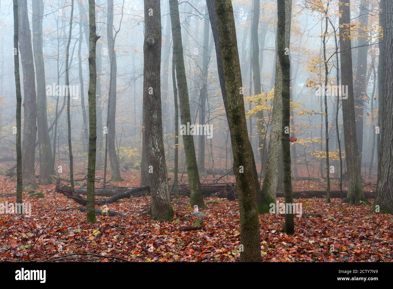 Beautiful Wisconsin ice nature background. Scenic autumn landscape in ...