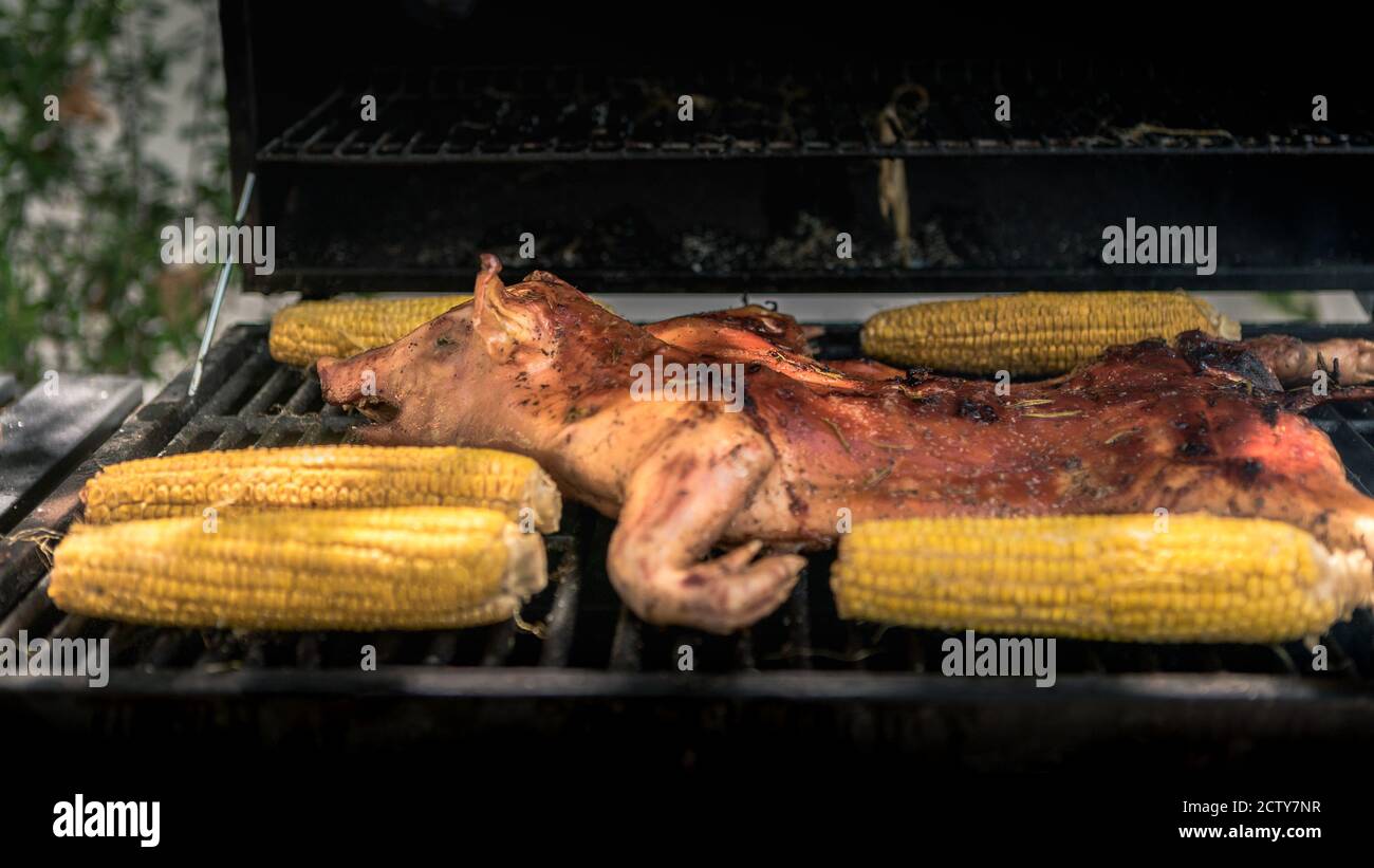 Whole Cooked Pig High Resolution Stock Photography and Images - Alamy