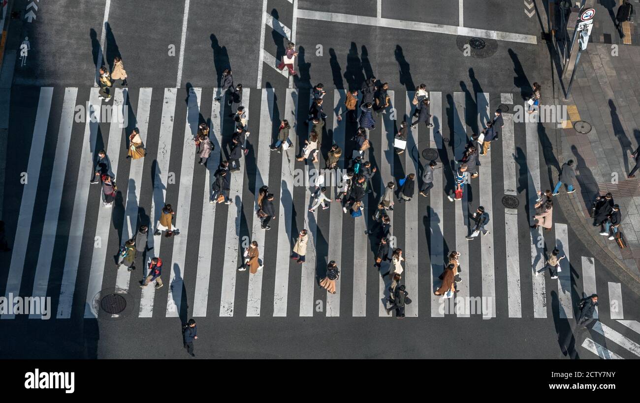 Aerial over crowd of japanese pedestrian crossing street with sunset ...