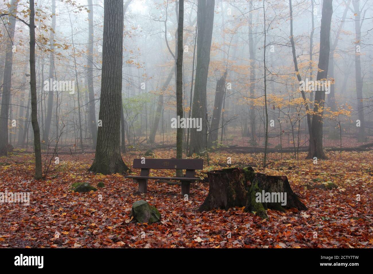Beautiful environment hi-res stock photography and images - Alamy