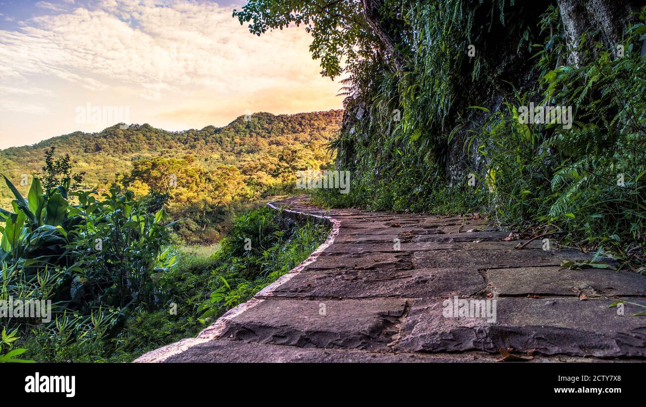 Beautiful brick pathway hi-res stock photography and images - Alamy