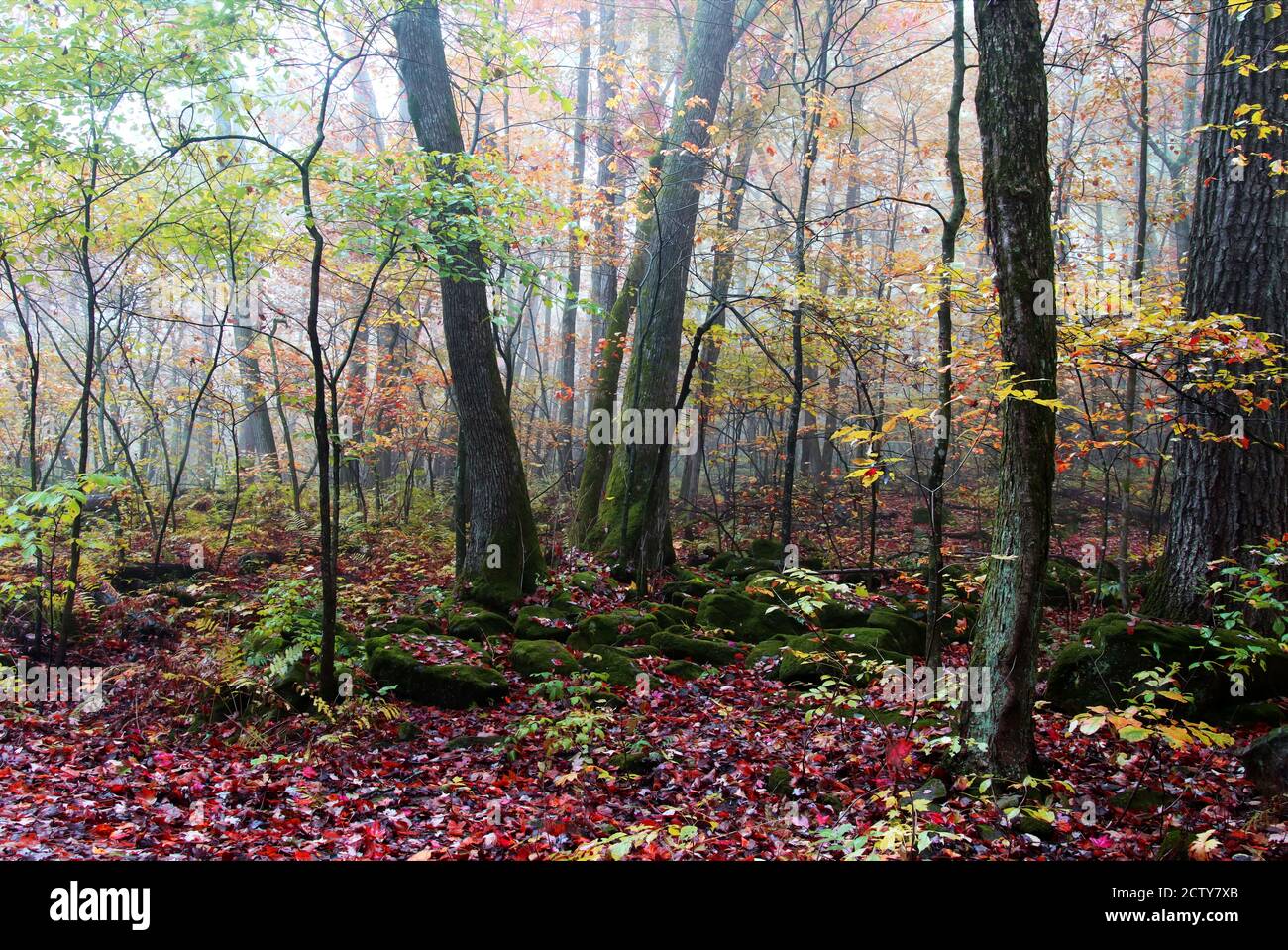Beautiful Wisconsin ice nature background. Scenic autumn landscape in ...