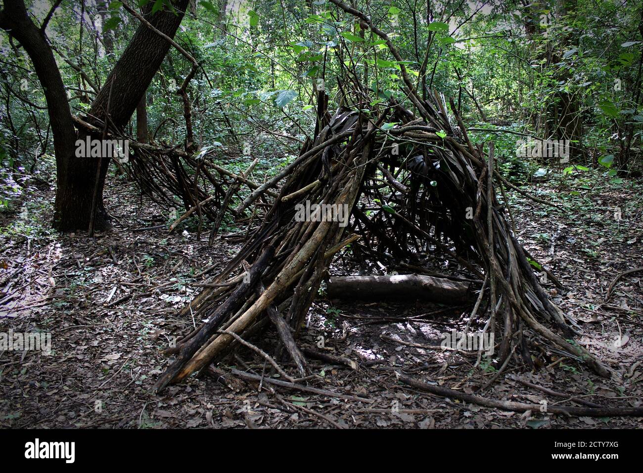 Hut made of branches hi-res stock photography and images - Alamy