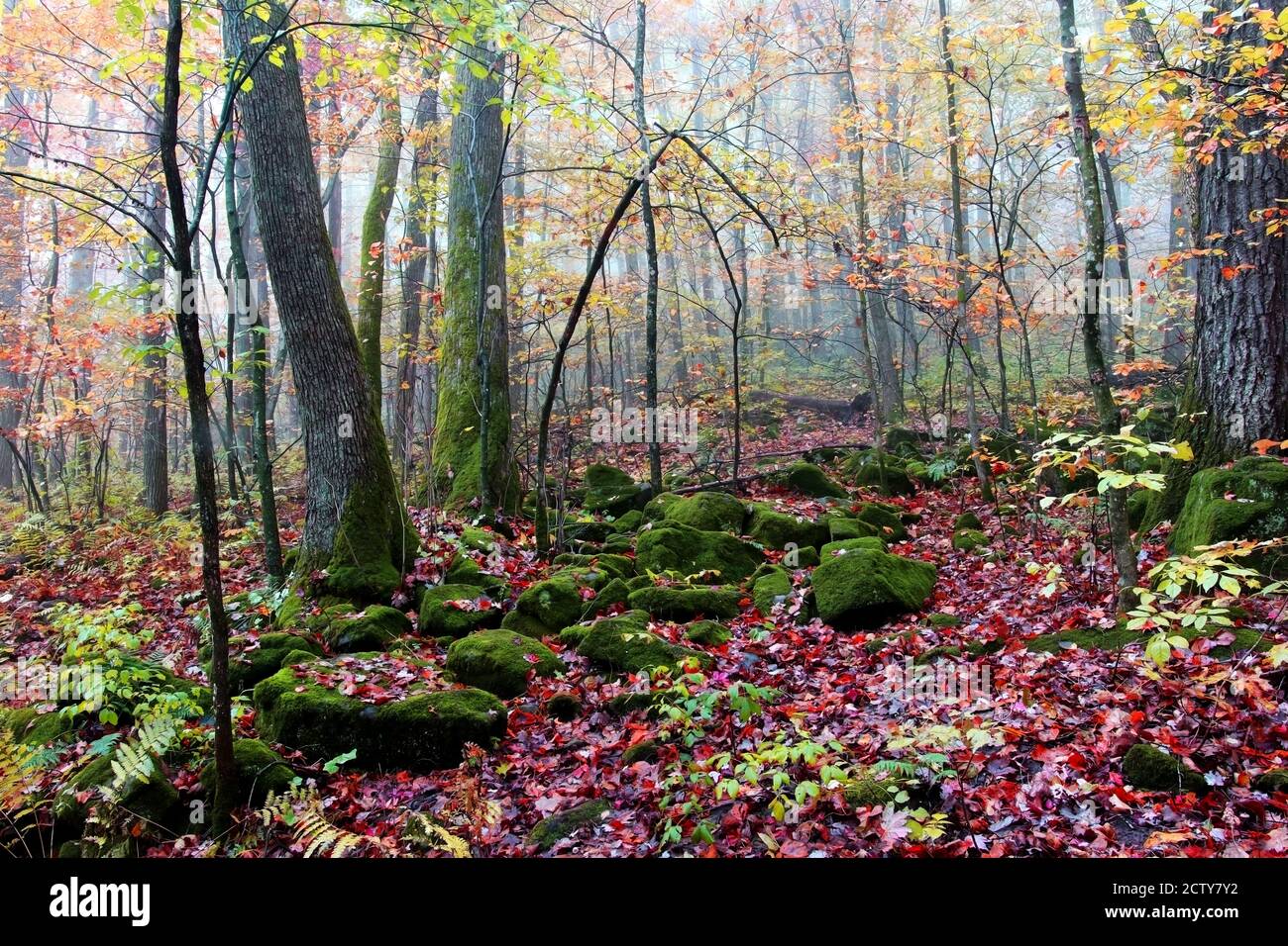 Autumn landscape hi-res stock photography and images - Alamy