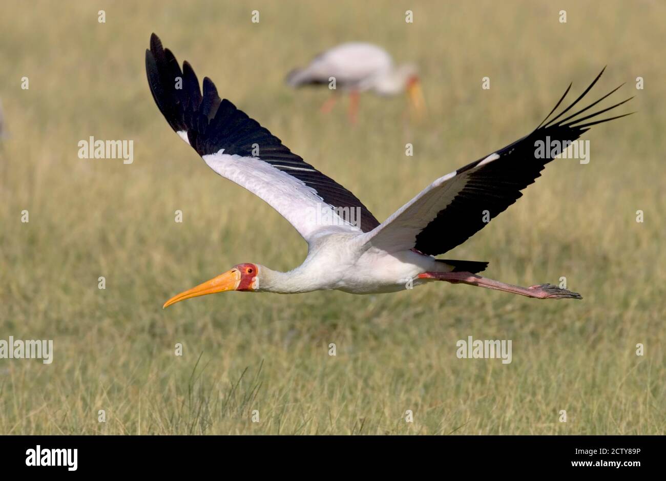 Above a field hi-res stock photography and images - Alamy