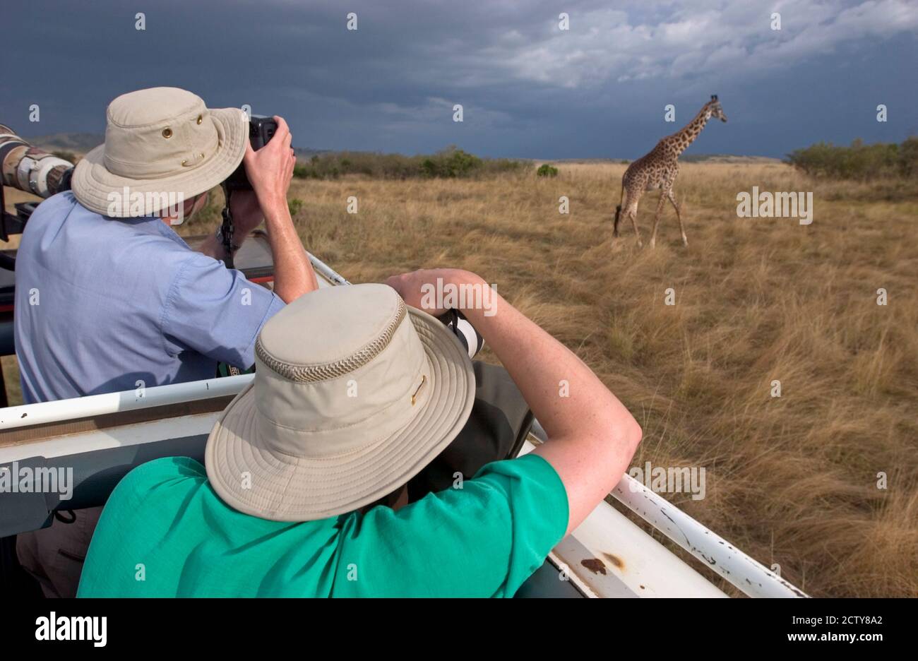 Filming animals hi-res stock photography and images - Alamy