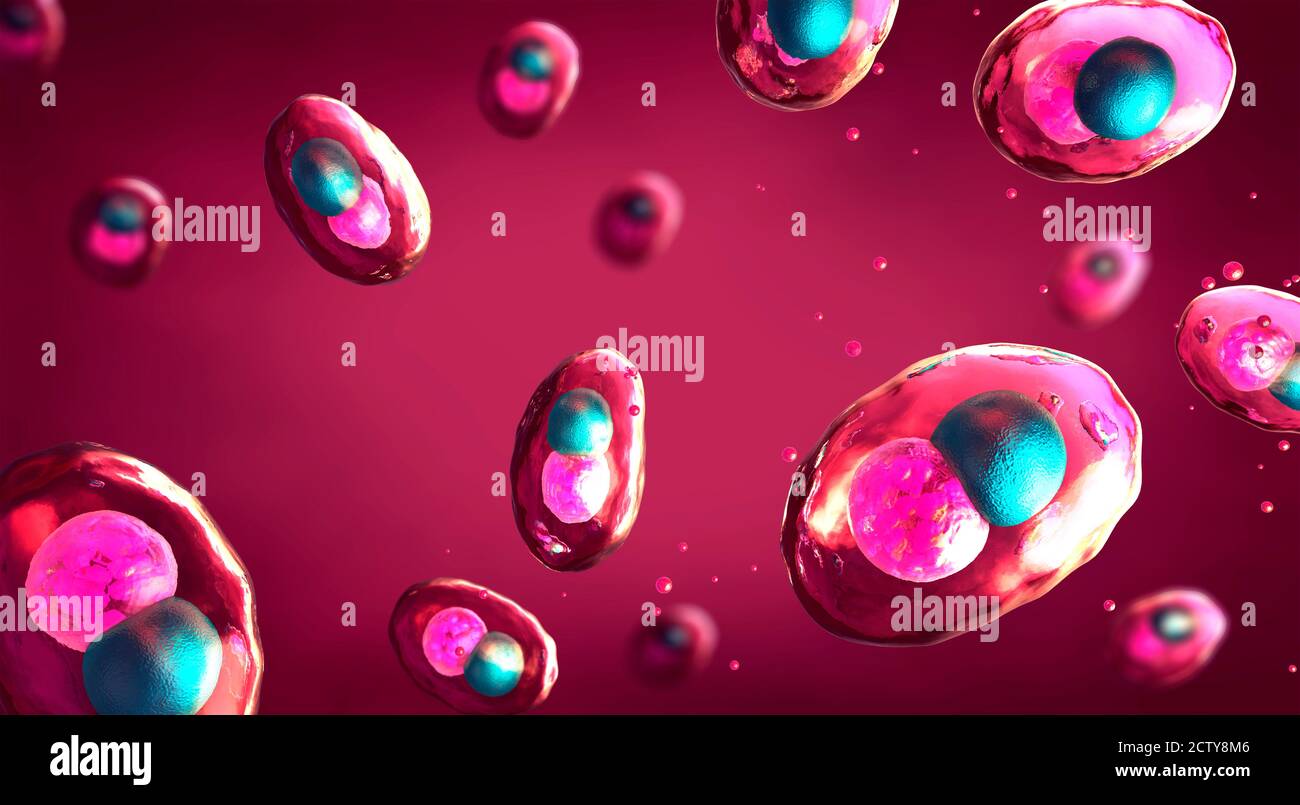 Chlamydia Bacteria High Resolution Stock Photography and Images - Alamy