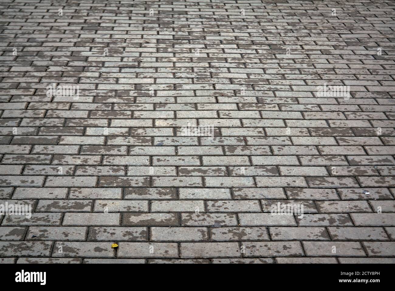 Abstract gray paving slab texture background. Close-up Stock Photo - Alamy