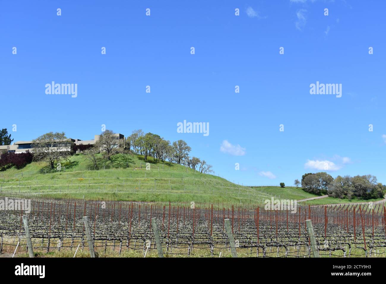 Beautiful countryside scenery with large vineyards Stock Photo - Alamy