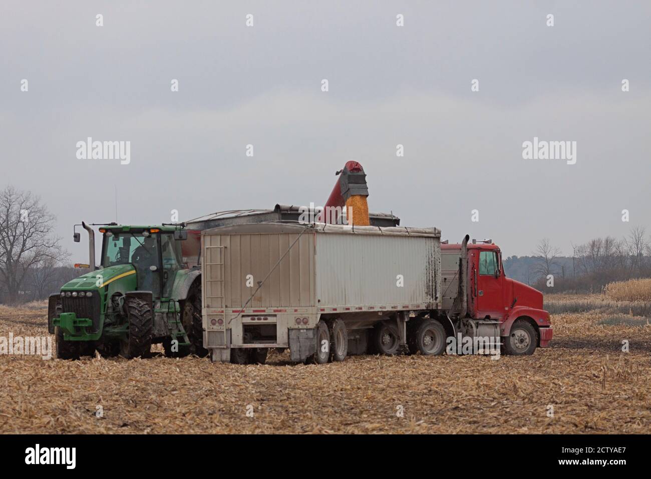 A tractor loads harvested corn into a waiting semi trailer Stock Photo ...