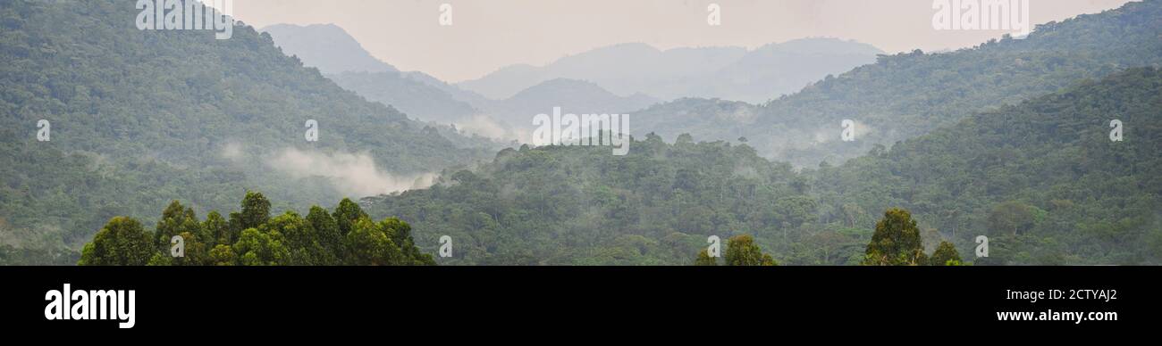 Bwindi impenetrable national park hi-res stock photography and images ...