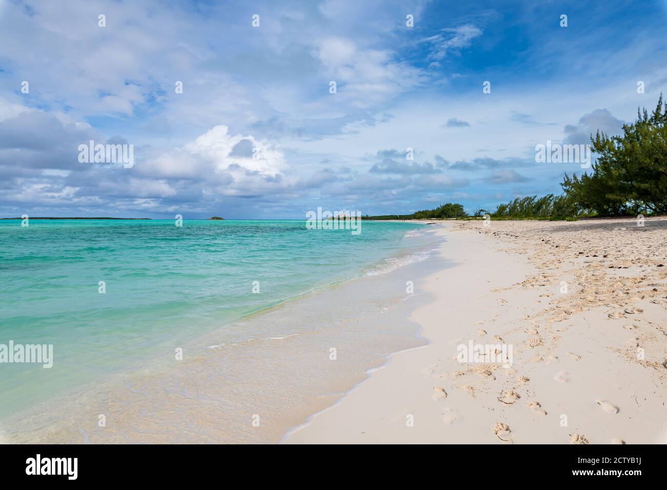 Coco plum hi-res stock photography and images - Alamy