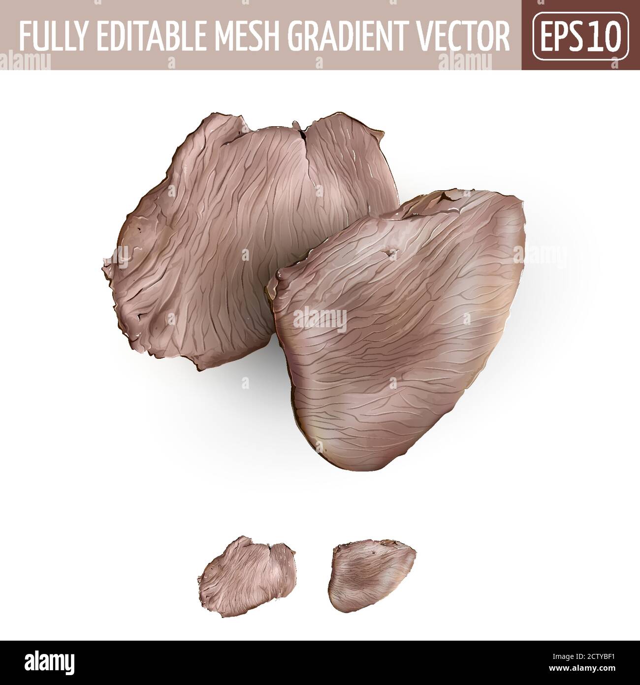 Piece boiled meat isolated Stock Vector Images - Alamy