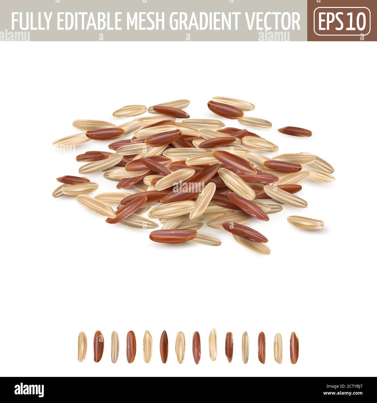 Mixed rice long grain brown and aromatic red Stock Vector Image & Art ...