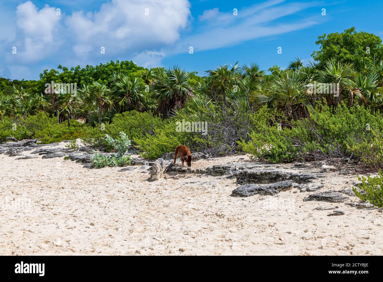 Bahamas big major cay exuma hi-res stock photography and images - Alamy