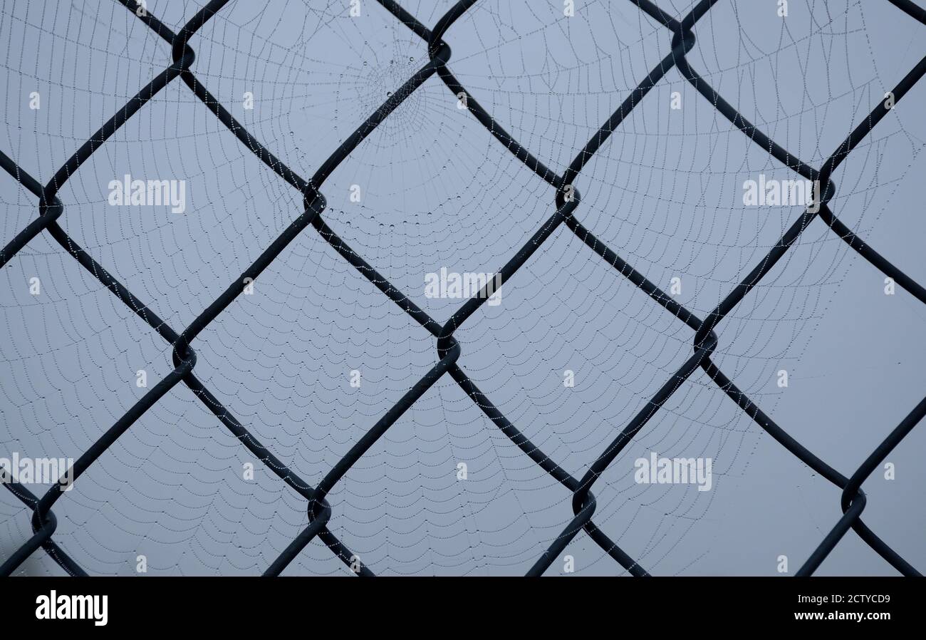 Wire cobweb hi-res stock photography and images - Alamy