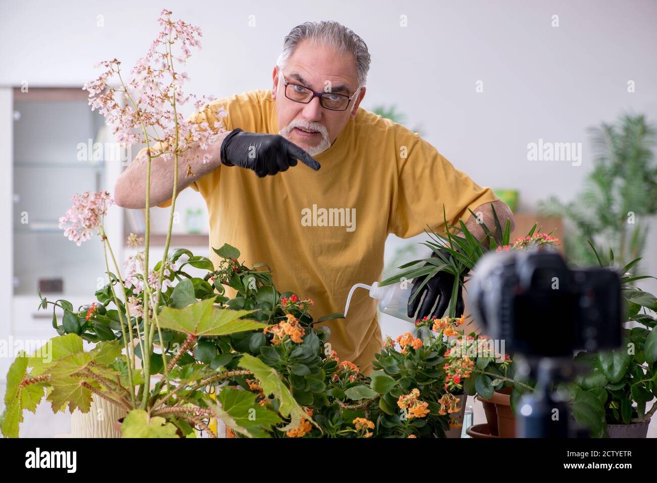 Male gardener presenting plant camera hi-res stock photography and ...