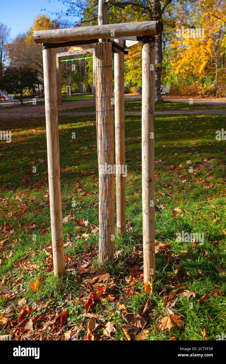 Tree seedling urban hi-res stock photography and images - Alamy