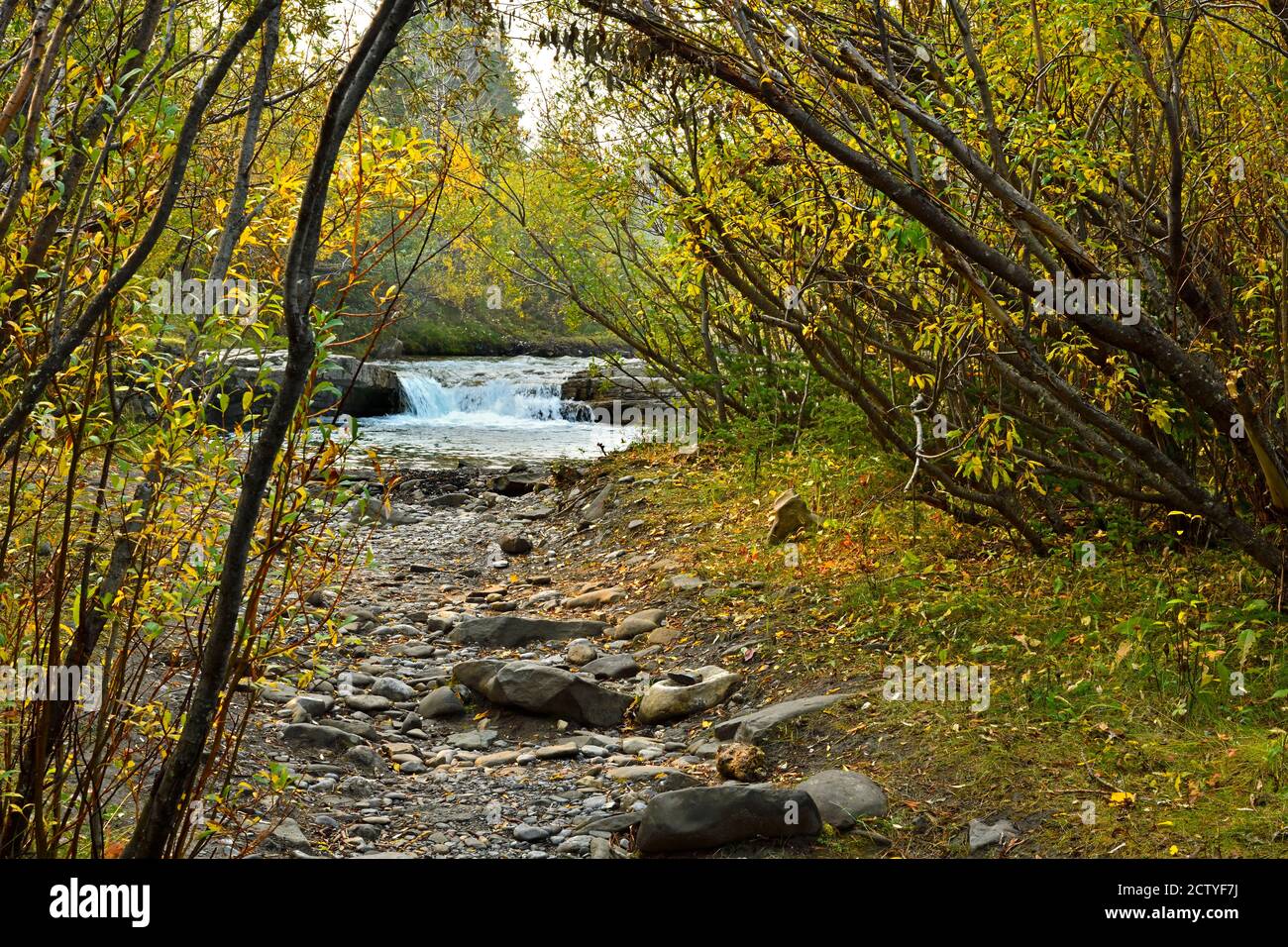 A landscape image of the Gregg River falls just of the Alberta Bighorn ...